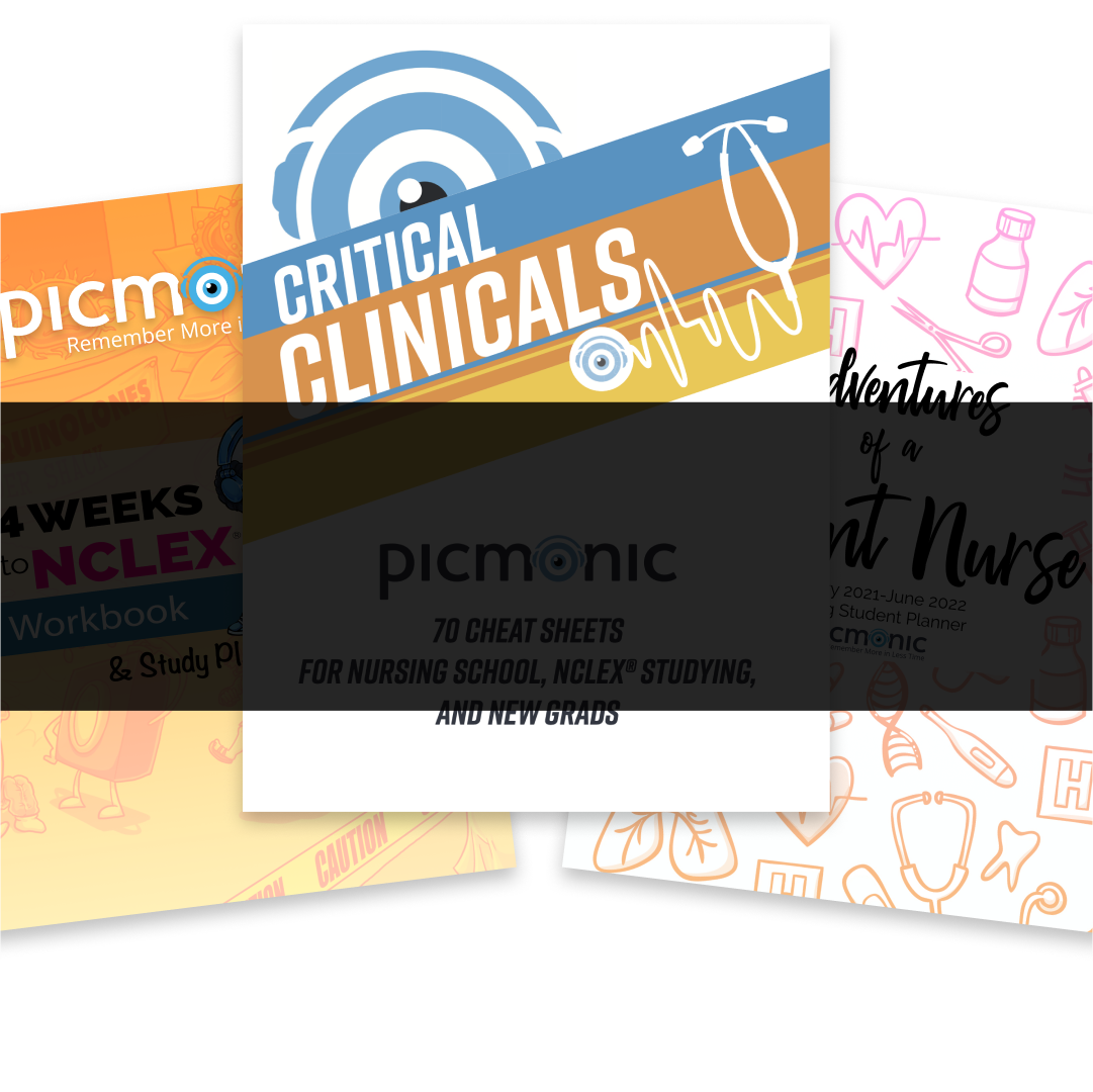 Digital Downloads – Picmonic Inc